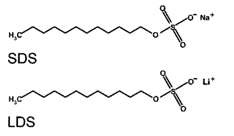 LDS VS SDS Chemical Structure and Properties – Sodium